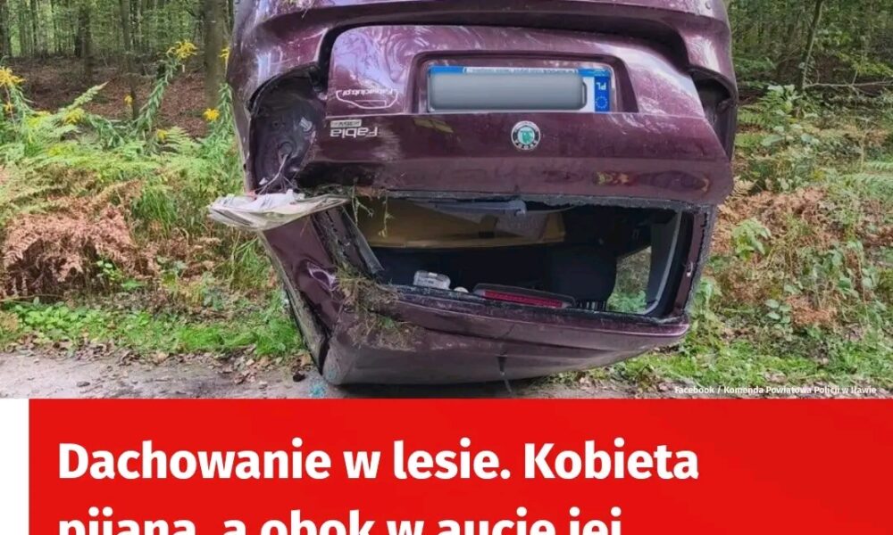 Dachowanie w lesie. Kobieta pijana, a obok w aucie jej bezbronny synek - USAtalkin